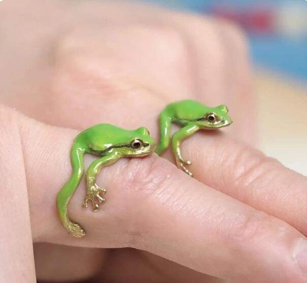 Tree Frog Ring & Earrings – oilinda